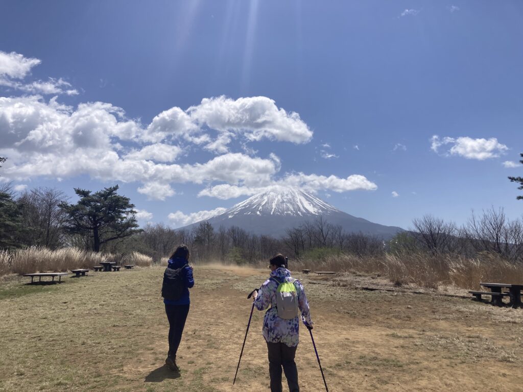 Mt. Fuji view hike and walk in the Aokigahara forest | Let's JAPAN